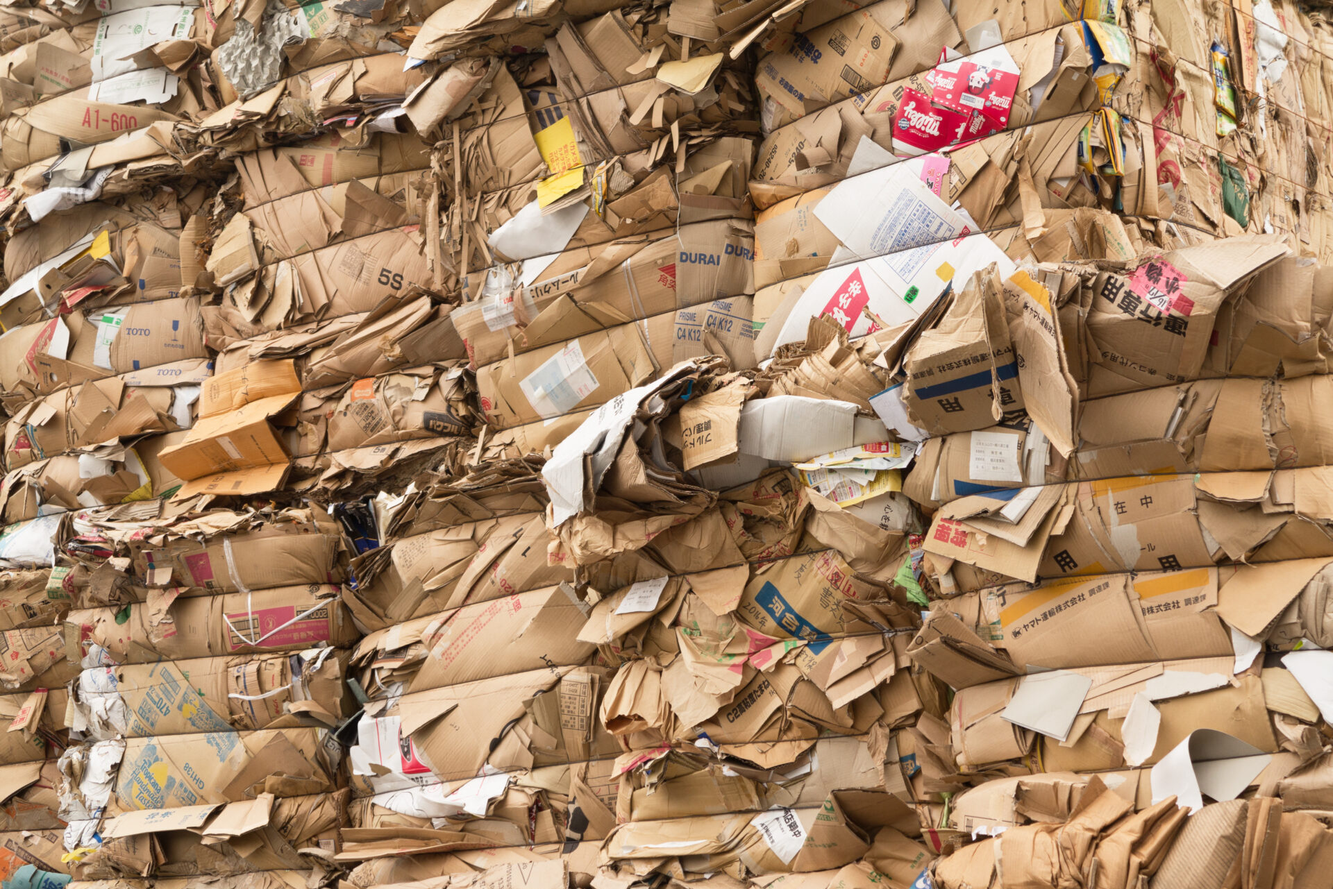 環境配慮型用紙を一気にご紹介！ | 紙から始めるSDGs